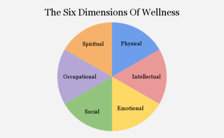 Holistic Fitness & The 6 Dimensions Of Wellness